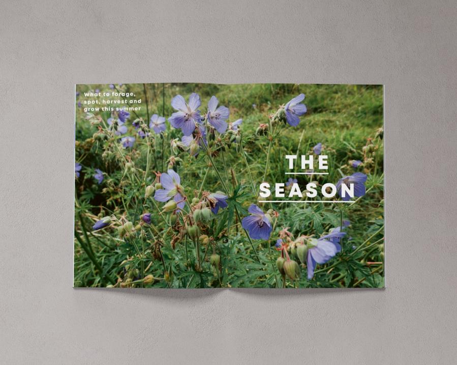 Bloom Magazine | Issue 6 | Lewes Map Store