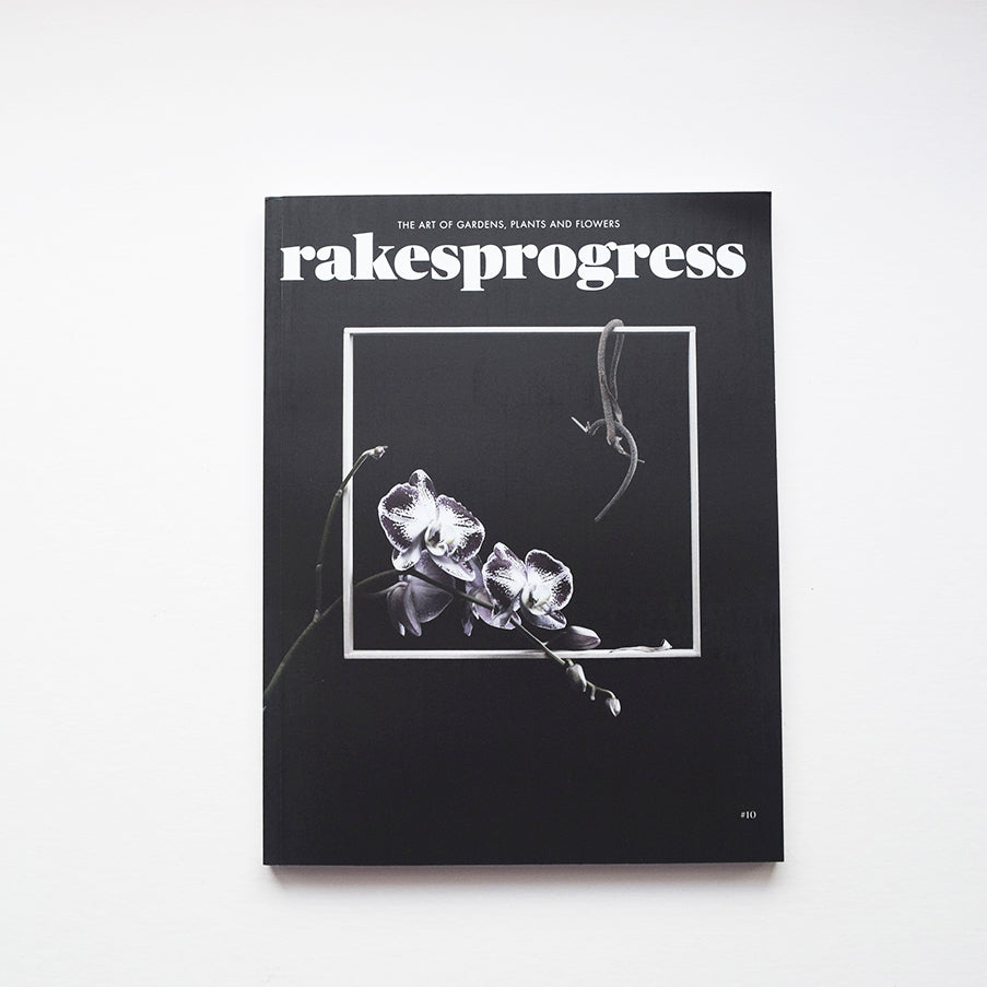 Rakesprogress Magazine | Issue 10 | Lewes Map Store