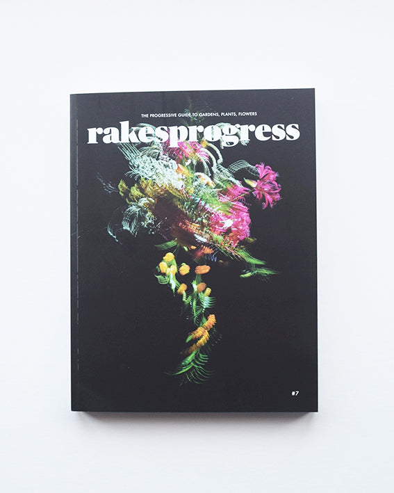 Rakesprogress Magazine | Issue 7 | Lewes Map Store