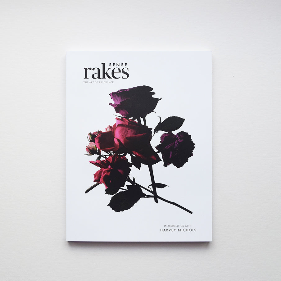 Rakesprogress Magazine | Issue 10 | Lewes Map Store